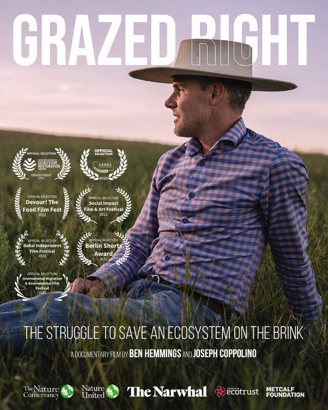 Grazed Right. Grass Fed Beef From Calgary, Alberta, Canada ...